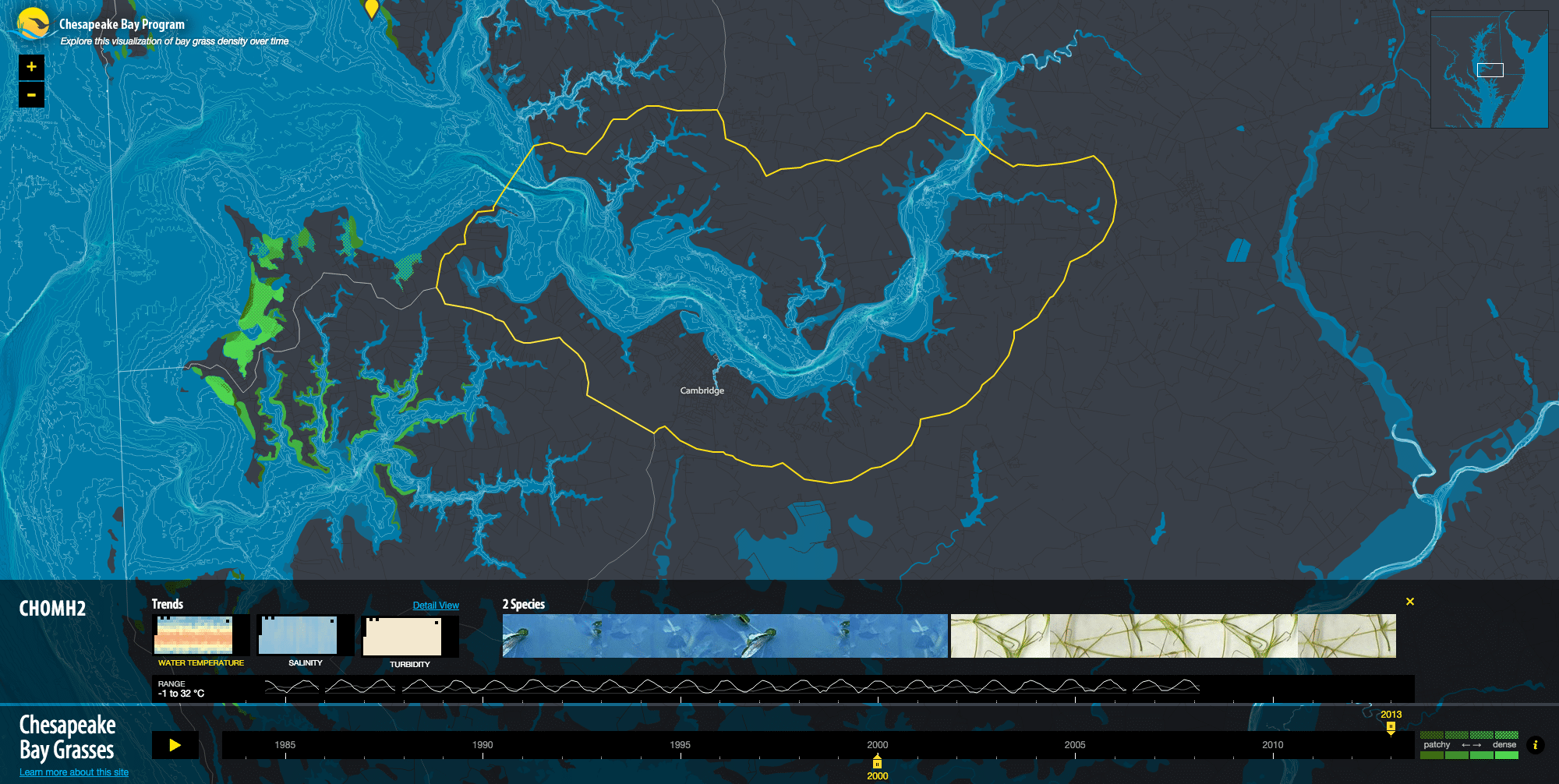 Chesapeake Bay Grasses | Stamen