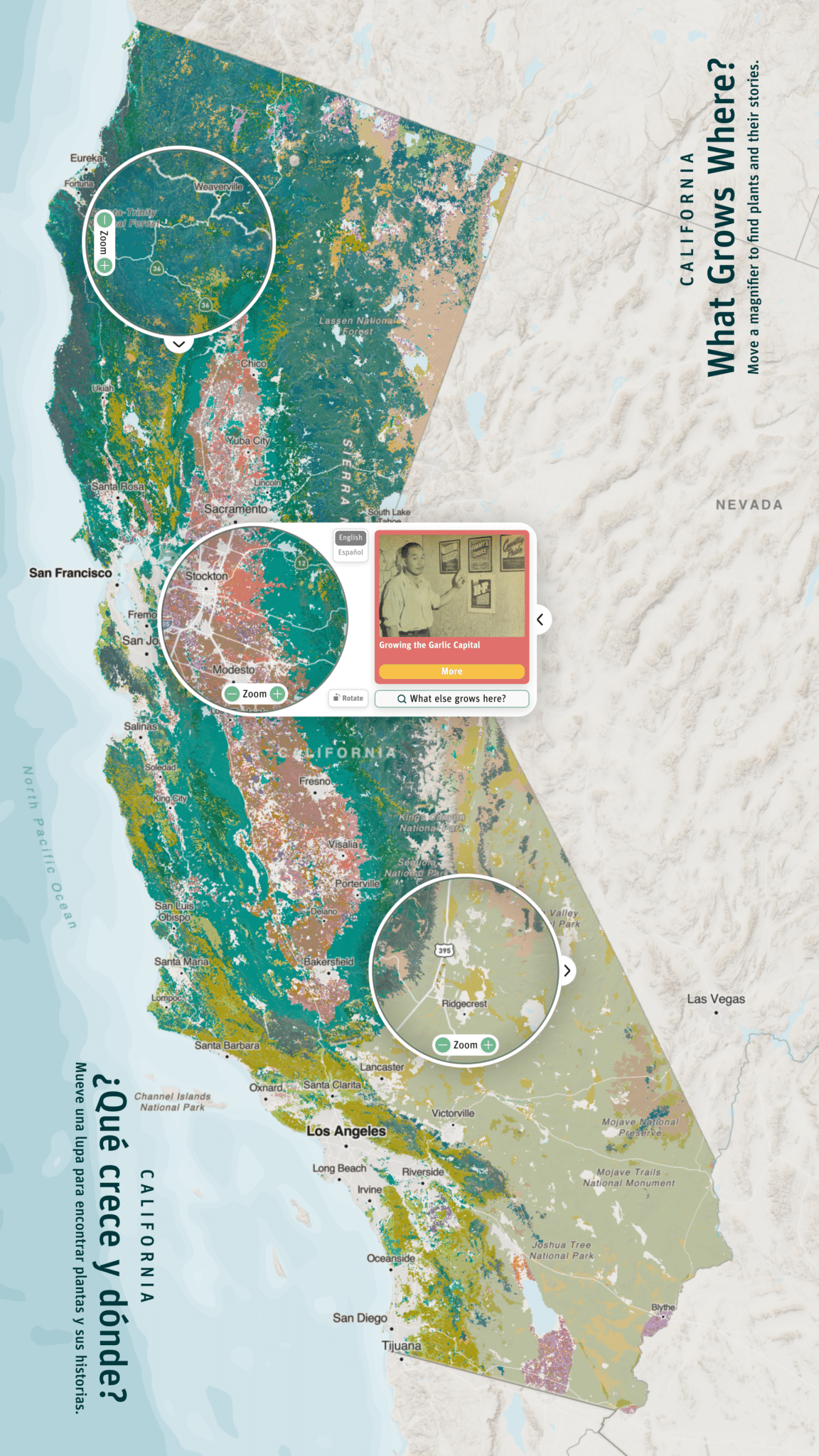Weaving together plants and people: developing a touchscreen ...