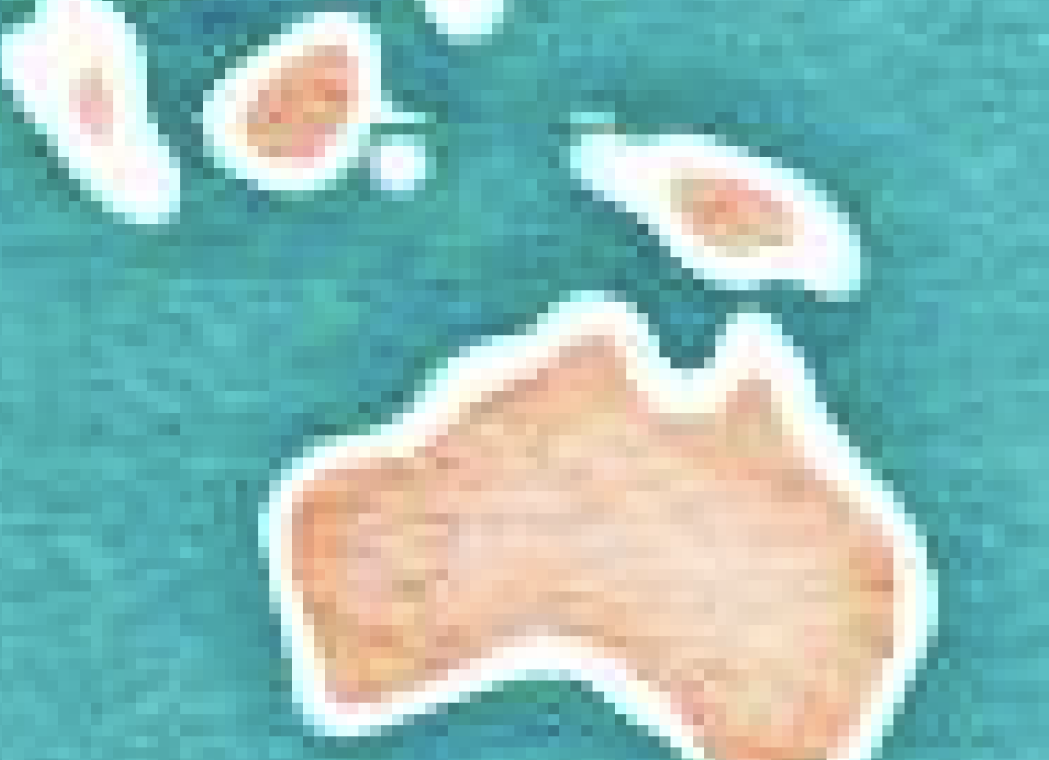 Making a snappy raster map with shaders | Stamen