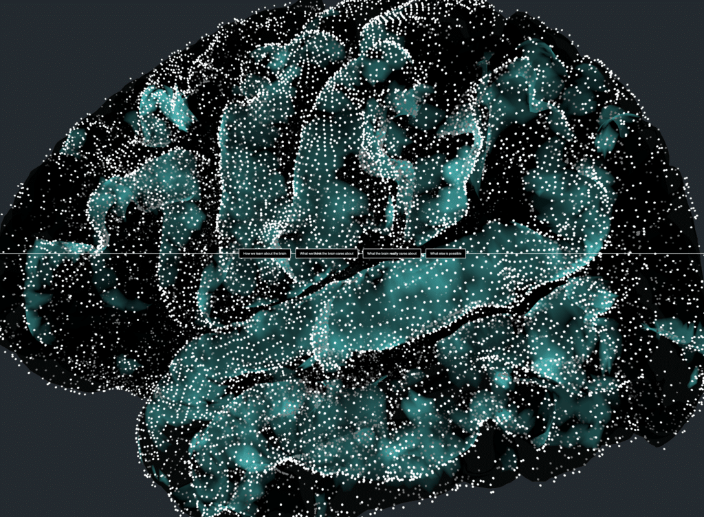 Brain Cartography: Mapping a place that everyone knows, but (almost) no ...